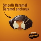 Vachon® Ah Caramel® The Original Cakes, 336 g - Walmart.ca