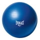 Everlast Fitness Ball - Walmart.ca