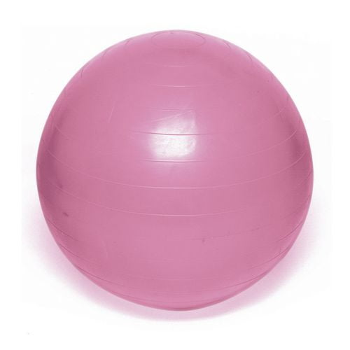 BALLY 65cm Stability Ball Pro - Walmart.ca