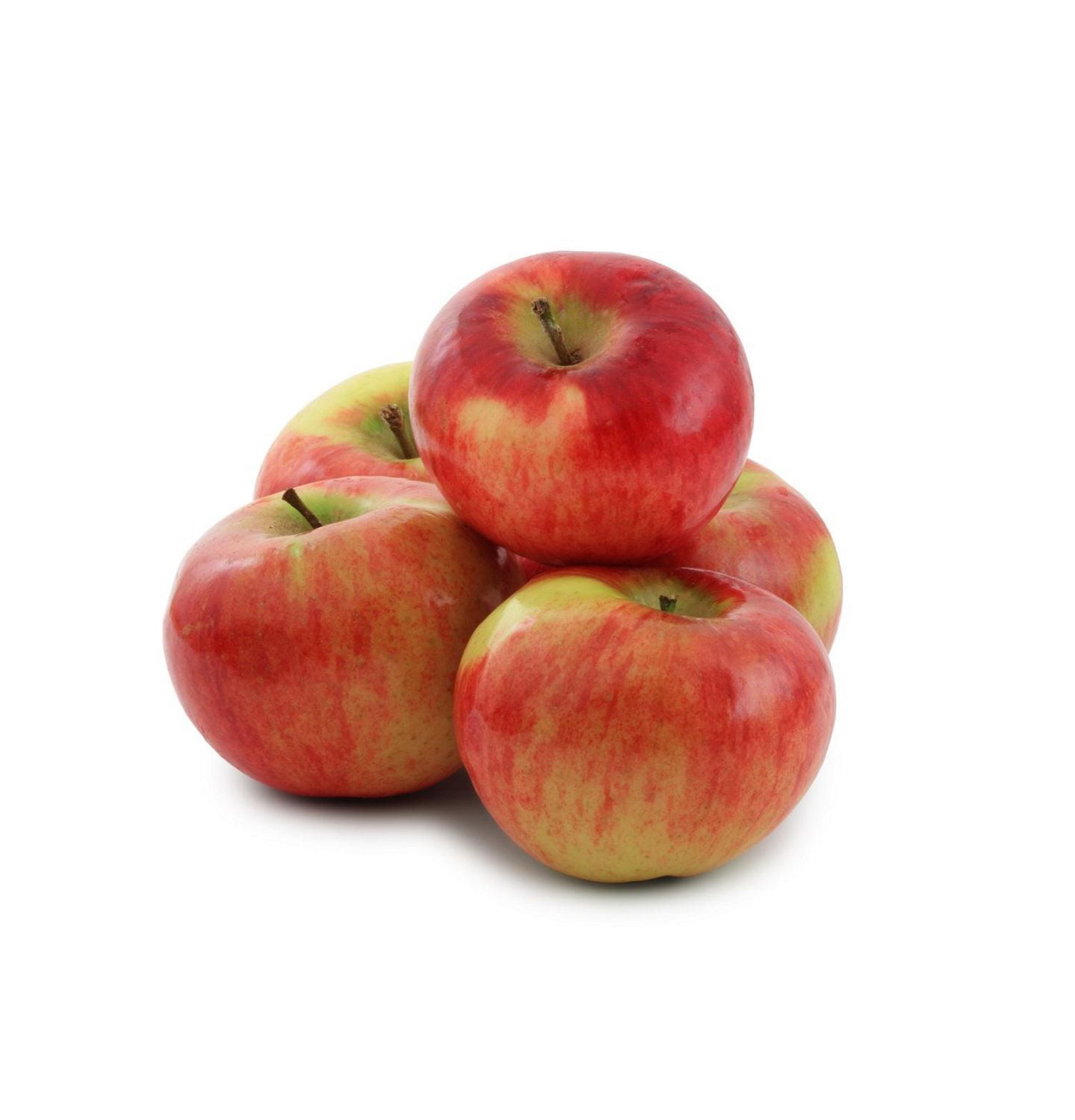Click here for Apple  Cortland prices