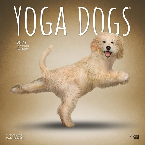 Yoga Dogs OFFICIAL | 2023 12x24 Inch Square Wall Calendar - Walmart.ca