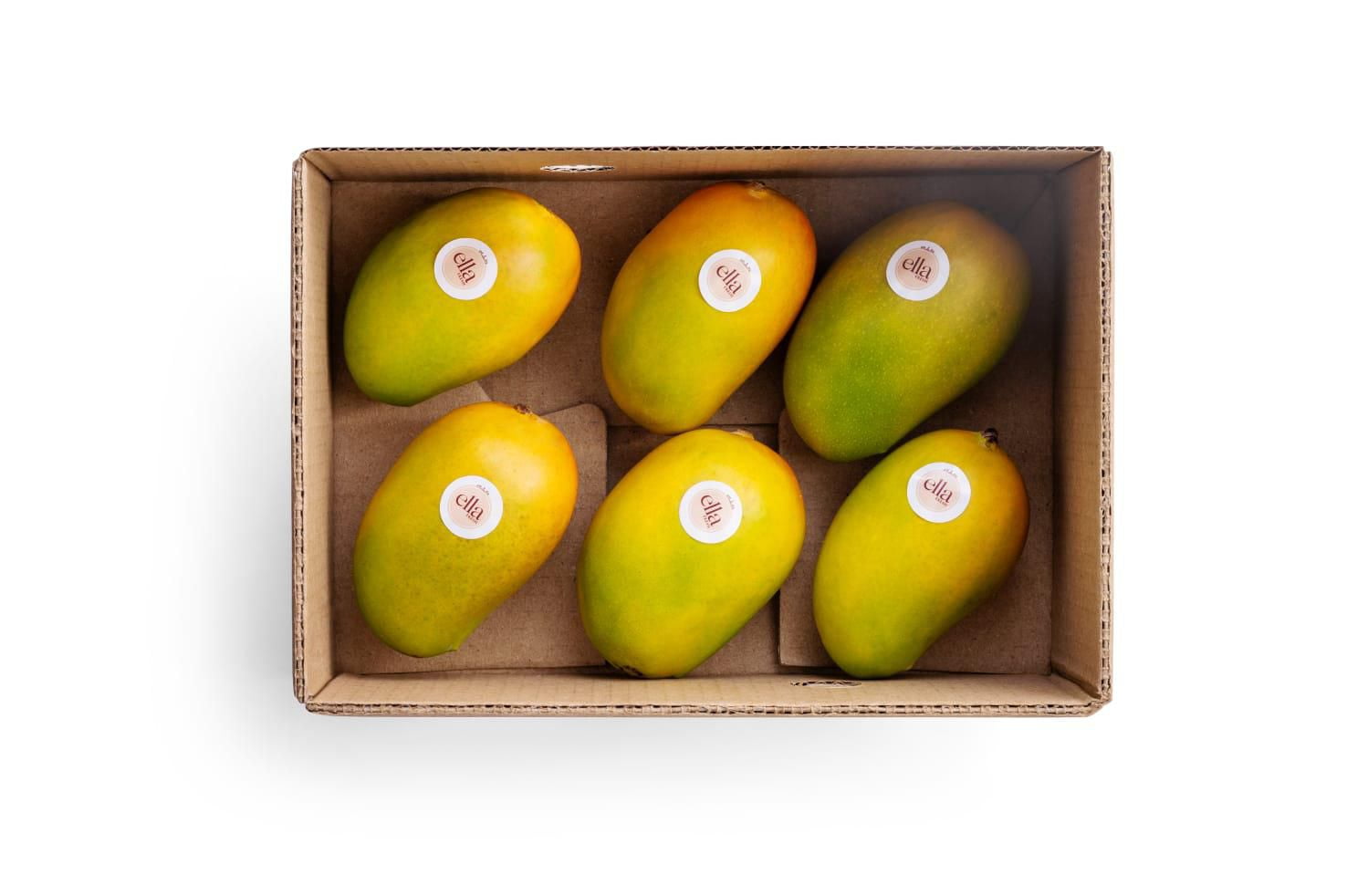 Indian Mango Case, 1 EA - Walmart.ca