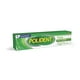 Polident Daily Paste for Denture, 90ml paste Triple Mint Fresh - Walmart.ca