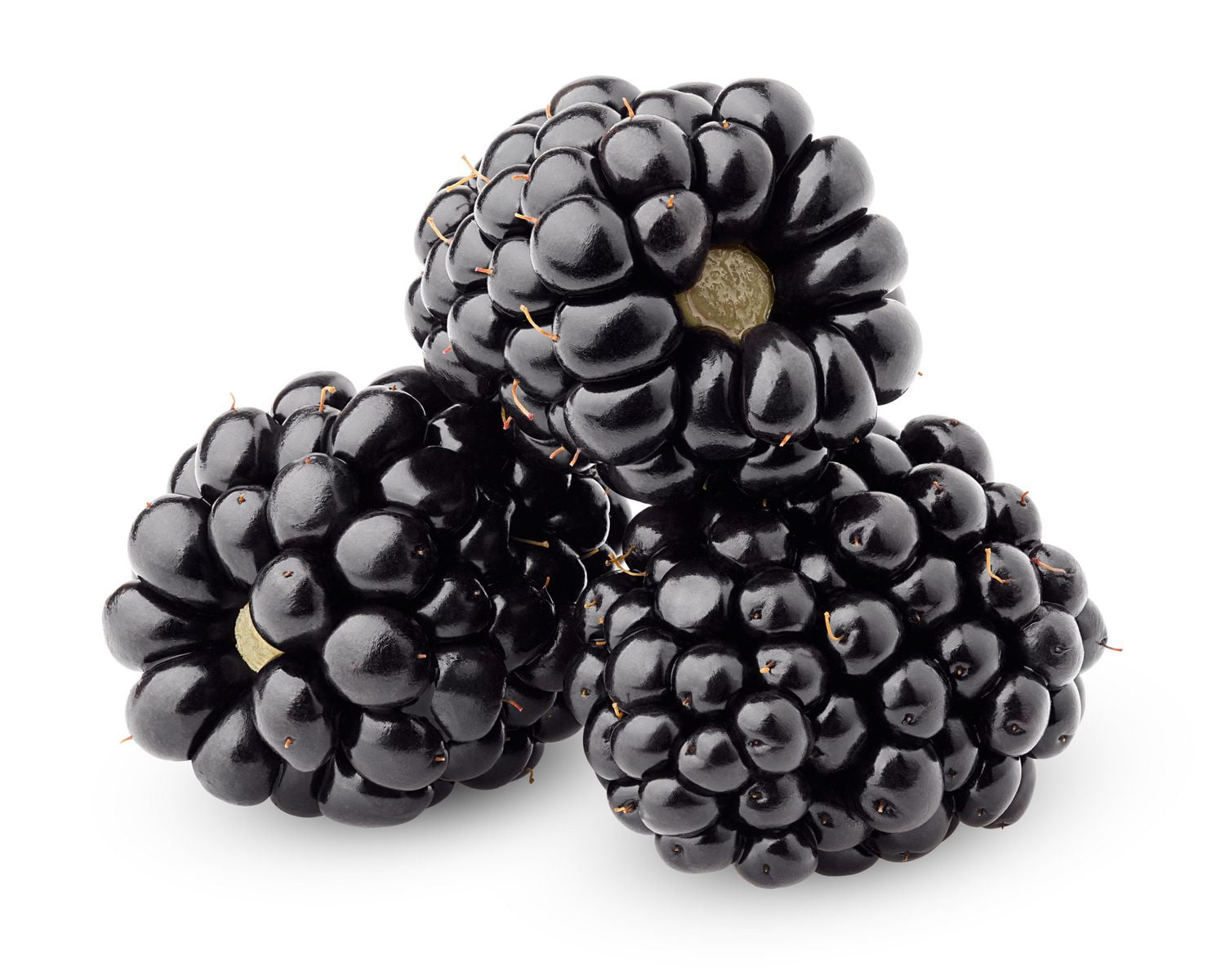 Organic Blackberries | Walmart Canada