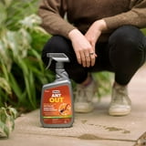Wilson® ANT OUT® Ant Killer, Ready-to-use ant control spray - Walmart.ca