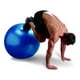Everlast Fitness Ball - Walmart.ca