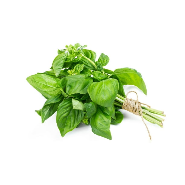Basil, 28 g - Walmart.ca