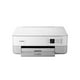 Canon PIXMA TS5320 Wireless Inkjet All-in-One Printer - Walmart.ca
