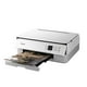 Canon PIXMA TS5320 Wireless Inkjet All-in-One Printer - Walmart.ca