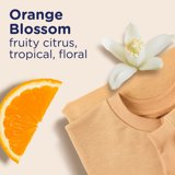 Downy Light Laundry Scent Booster Beads for Washer, Orange Blossom ...