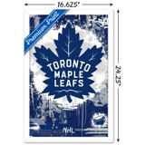 NHL Toronto Maple Leafs - Maximalist Logo 23 Wall Poster, 22.375" x 34 ...