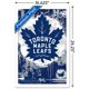 NHL Toronto Maple Leafs - Maximalist Logo 23 Wall Poster, 22.375" x 34 ...