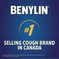 Benylin Extra Strength Mucus & Phlegm Plus Cough Control Syrup, Daytime ...