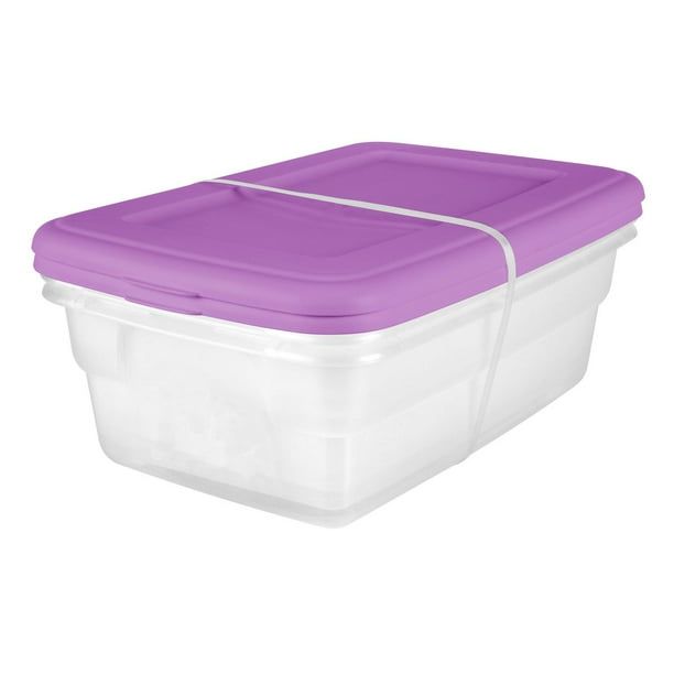 Sterilite Set Of (2) 11.4 Liter Boxes - Walmart.ca