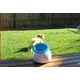 iFetch Automatic Ball Launcher for Dogs - Walmart.ca