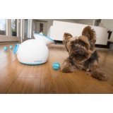 iFetch Automatic Ball Launcher for Dogs - Walmart.ca