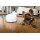 iFetch Automatic Ball Launcher for Dogs - Walmart.ca