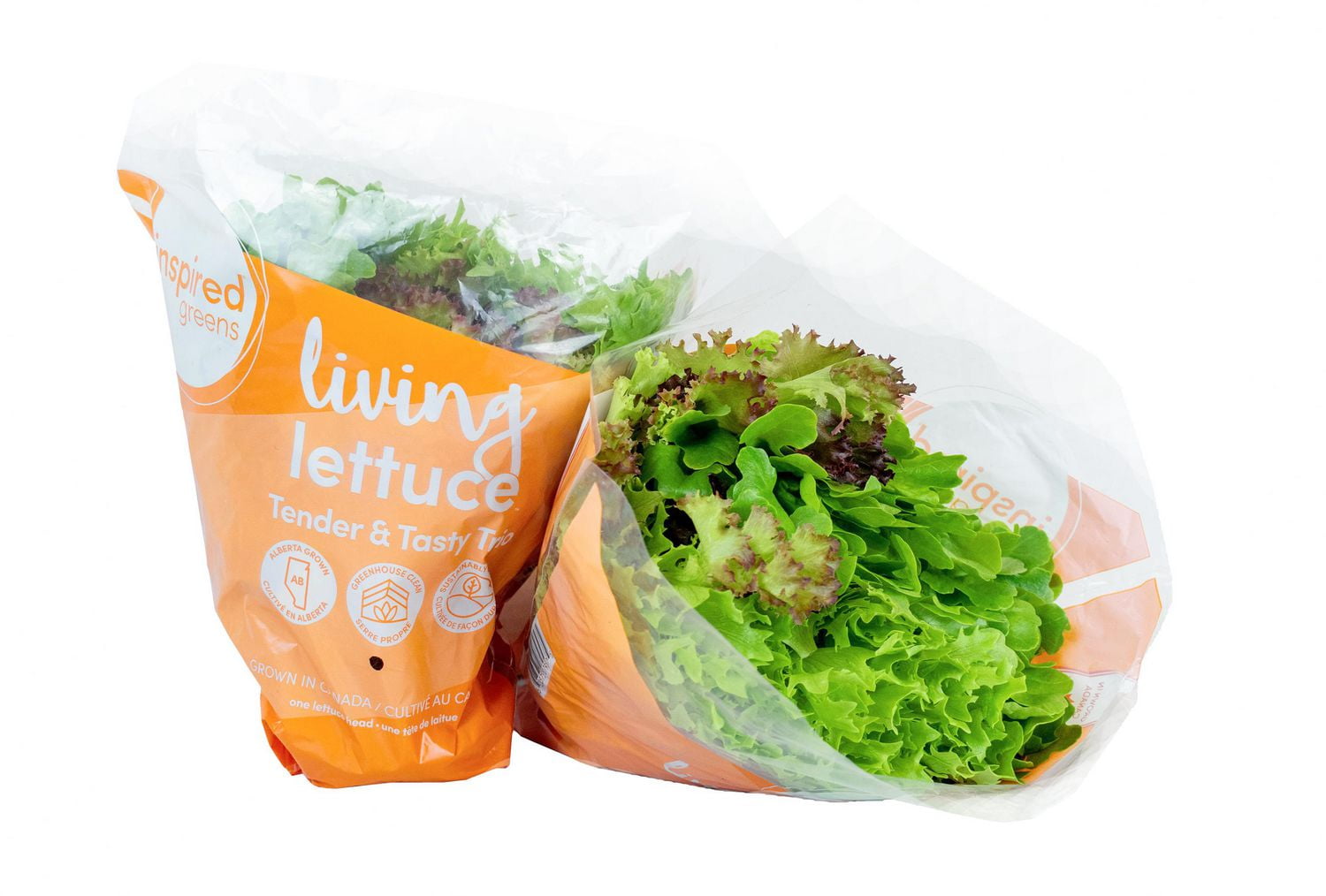 Click here for Inspired Greens Living Lettuce Tender & Tasty Trio prices