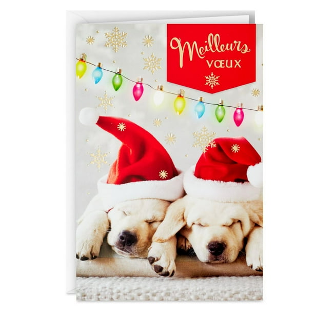 Image Arts Puppies and Holiday Wishes French-Language Boxed Christmas ...