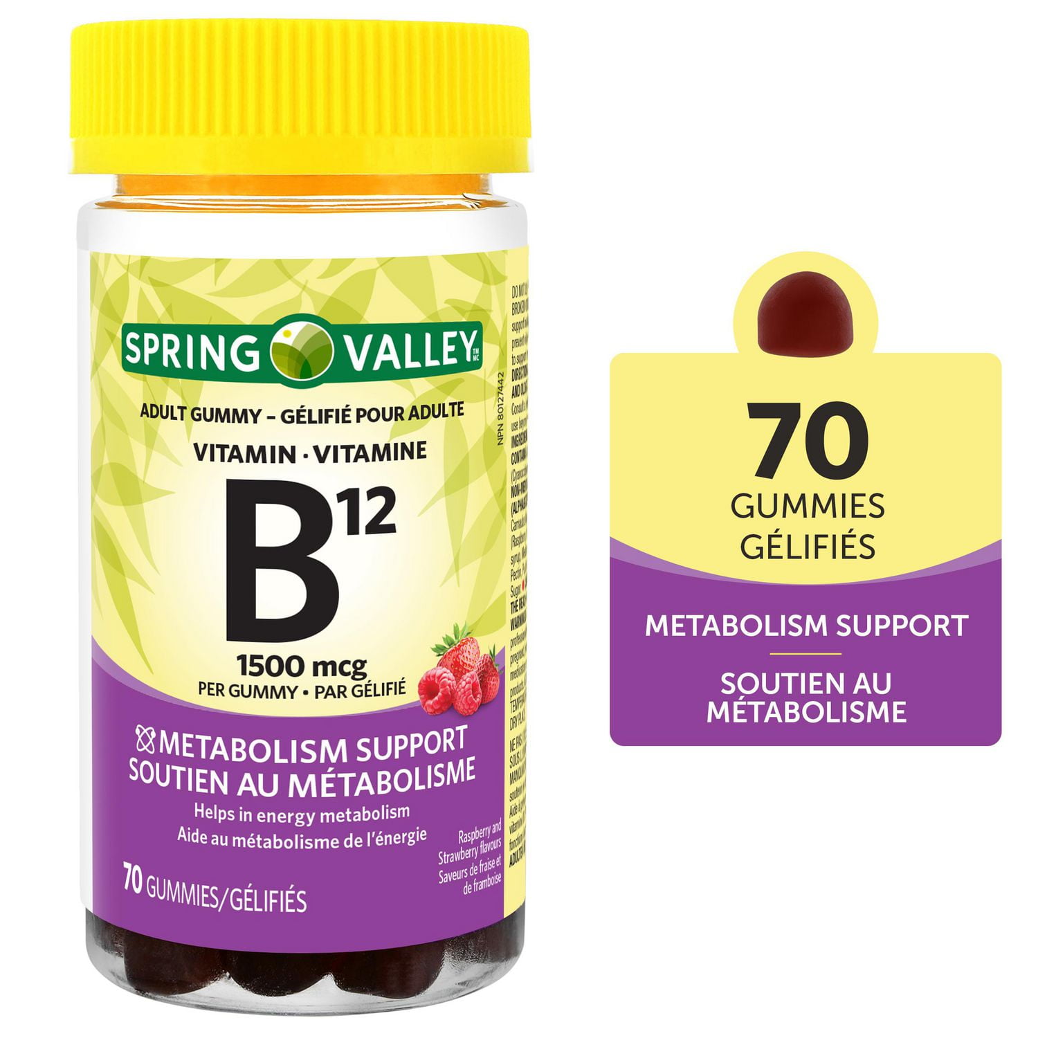 Click here for Spring Valley B12 Vitamin Gummy prices