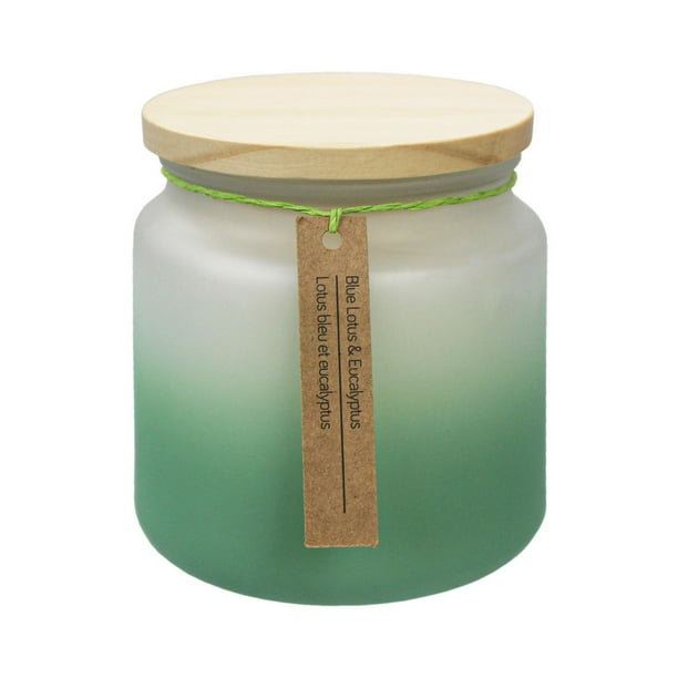 14oz - Blue Lotus & Eucalyptus Fragranced Candle - Walmart.ca