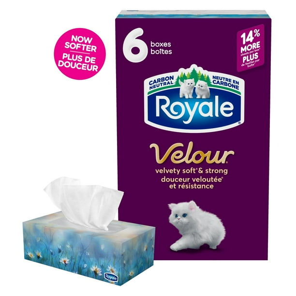 Royale Velour Facial Tissue, 6 Flat Boxes, 82 Tissues per box, 3-Ply ...