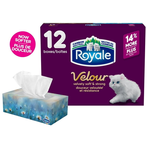 Royale Velour Facial Tissue, 12 Flat Boxes, 82 Tissues per box, 3-Ply ...