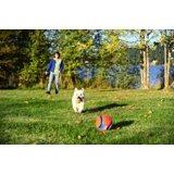 Chuckit! Kick Fetch Small Dog Toy - Walmart.ca