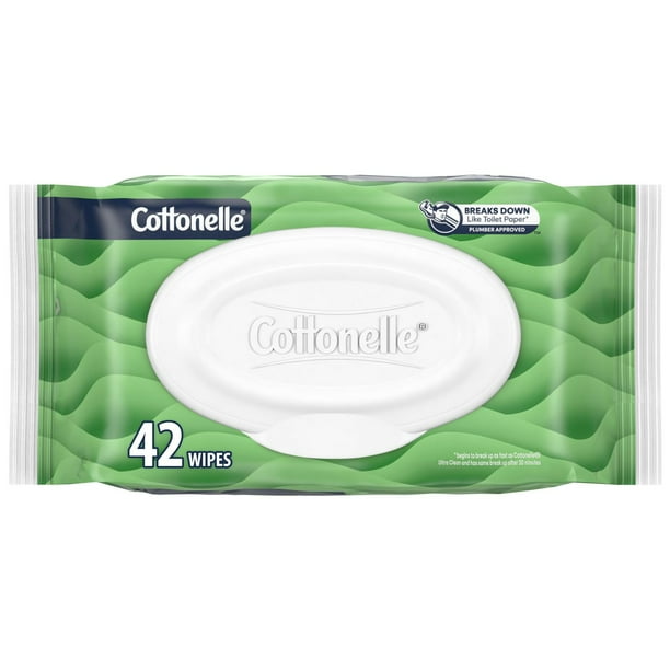 Cottonelle GentlePlus Flushable Wet Wipes with Aloe & Vitamin E, 1 Flip ...