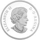 Ice Crystals Royal Canadian Mint Pure Silver Coin - Walmart.ca