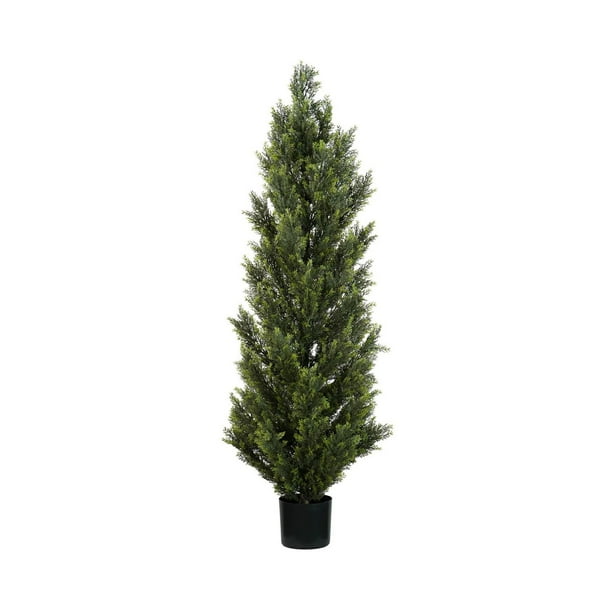 Cedar Tree - Walmart.ca
