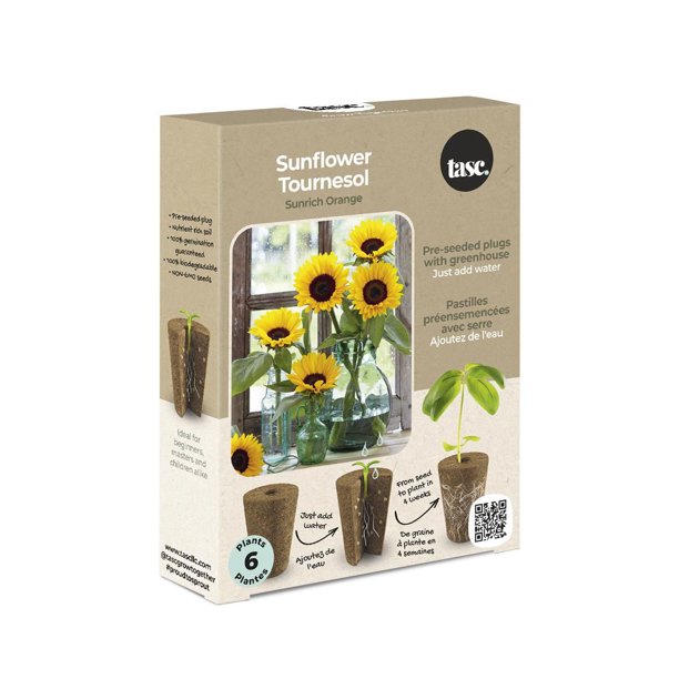 TASC Flower Bulbs Sunflower Annuus Sunrich Orange (6 Plants) - Walmart.ca