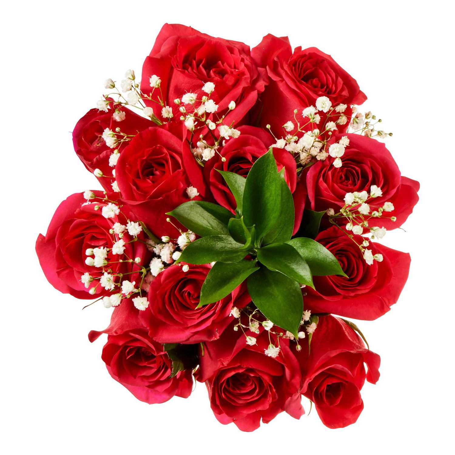 Click here for Dozen Roses Bouquet Fresh Flowers Medium prices
