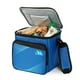 California Innovations Arctic Zone Jumbo HardBody® Lunch Box - Walmart.ca