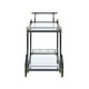 ACME Cyrus Serving Cart in Black/Gold & Clear Glass - Walmart.ca