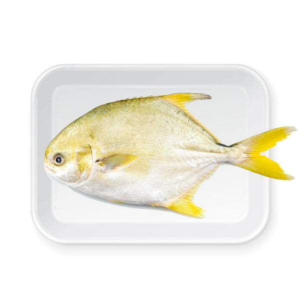 Yellow Pomfret, 1 Tray, 0.40 - 1.50 kg - Walmart.ca