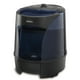 Sunbeam Warm Mist Humidifier - Walmart.ca