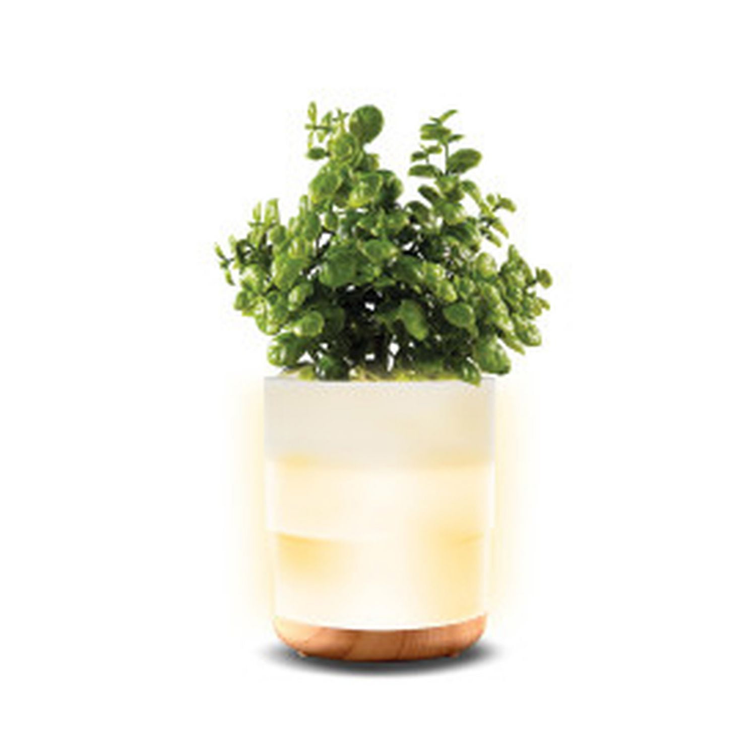 Click here for Lomi Plant Aroma Diffuser 100 Ml prices