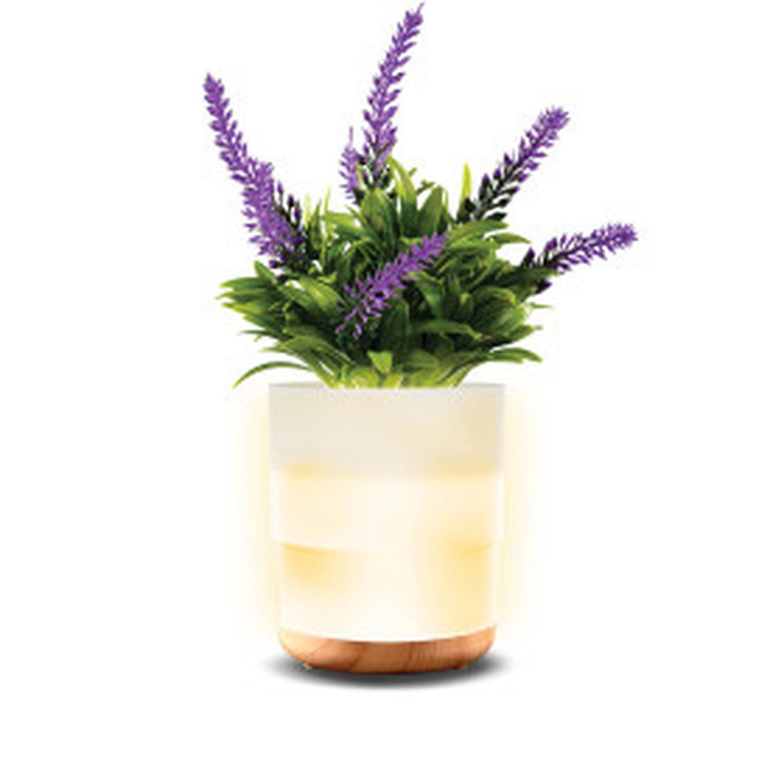Click here for Lomi Lavender Plant Aroma Diffuser 100 Ml prices
