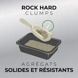 Arm & Hammer AbsorbX Multi-Cat Lightweight Clumping Cat Litter 6.8kg, 6 ...