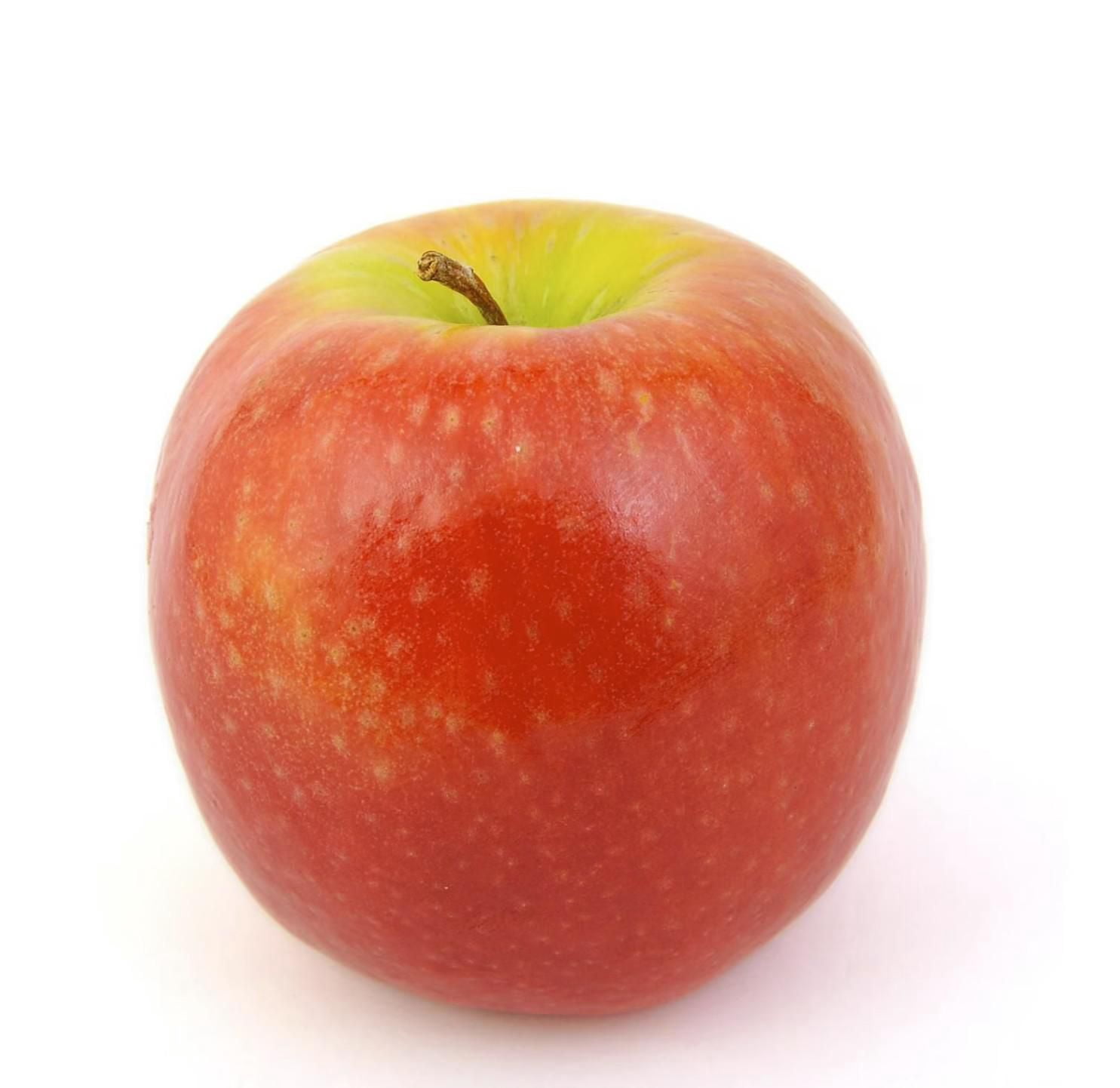 Click here for Fruitilicious Apples  Pink Lady Organic prices