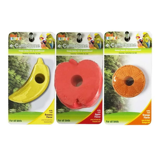 Penn-Plax Fruit E-Cuttlebone, Fruit Cuttlebones - Walmart.ca