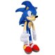 Sonic "Speed Unlimited" Cuddle Pillow, Sonic Cuddle Pillow - Walmart.ca