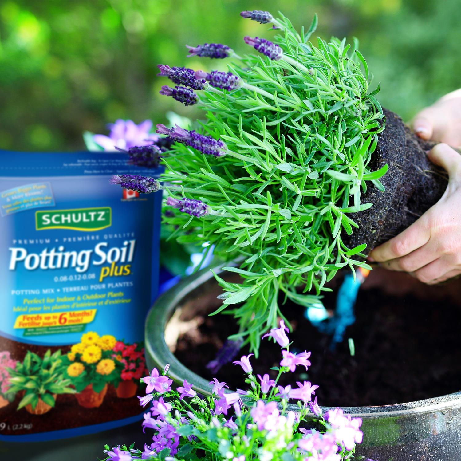 instant pot mix brownies