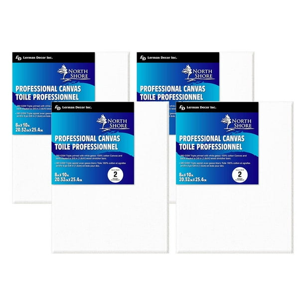 North Shore Professional Canvas 8" x 10" 4 pack - Walmart.ca
