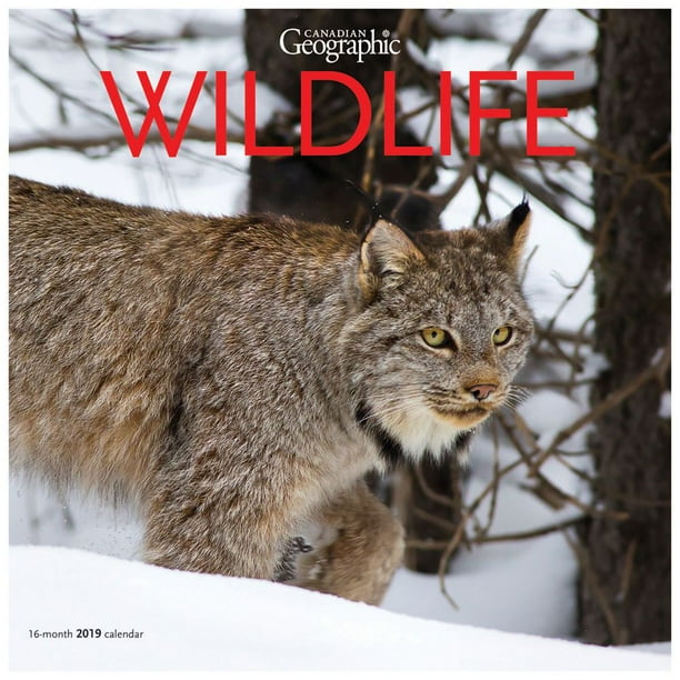 2019 Canadian Geographic Wildlife Calendar - Walmart.ca