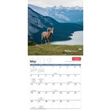 2019 Canadian Geographic Wildlife Calendar - Walmart.ca