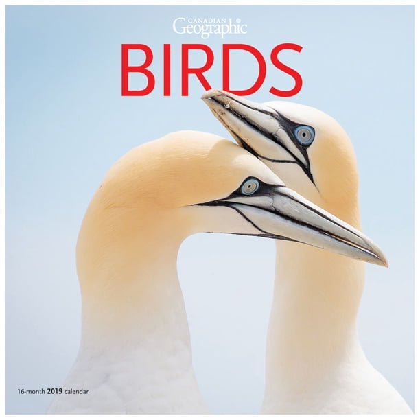 2019 Canadian Geographic Birds Calendar - Walmart.ca