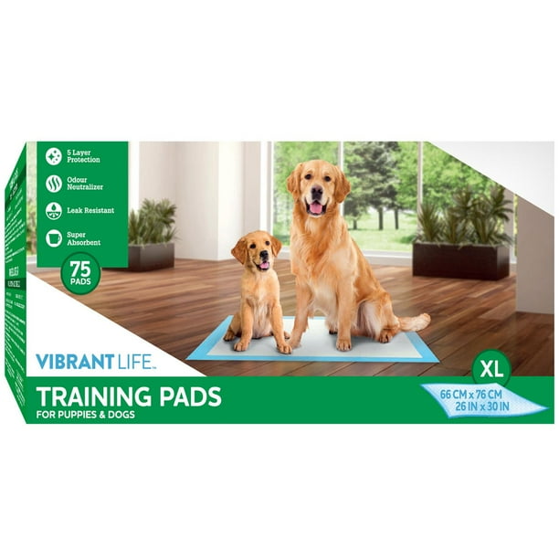 Vibrant Life Extra Large Training Pads - Walmart.ca