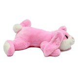 Way to Celebrate Easter Large Floppy Pal Plush Toy, Bunny - Walmart.ca